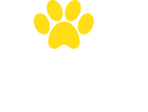 Cremora 👻 | Paw Prints Rescue & Rehoming